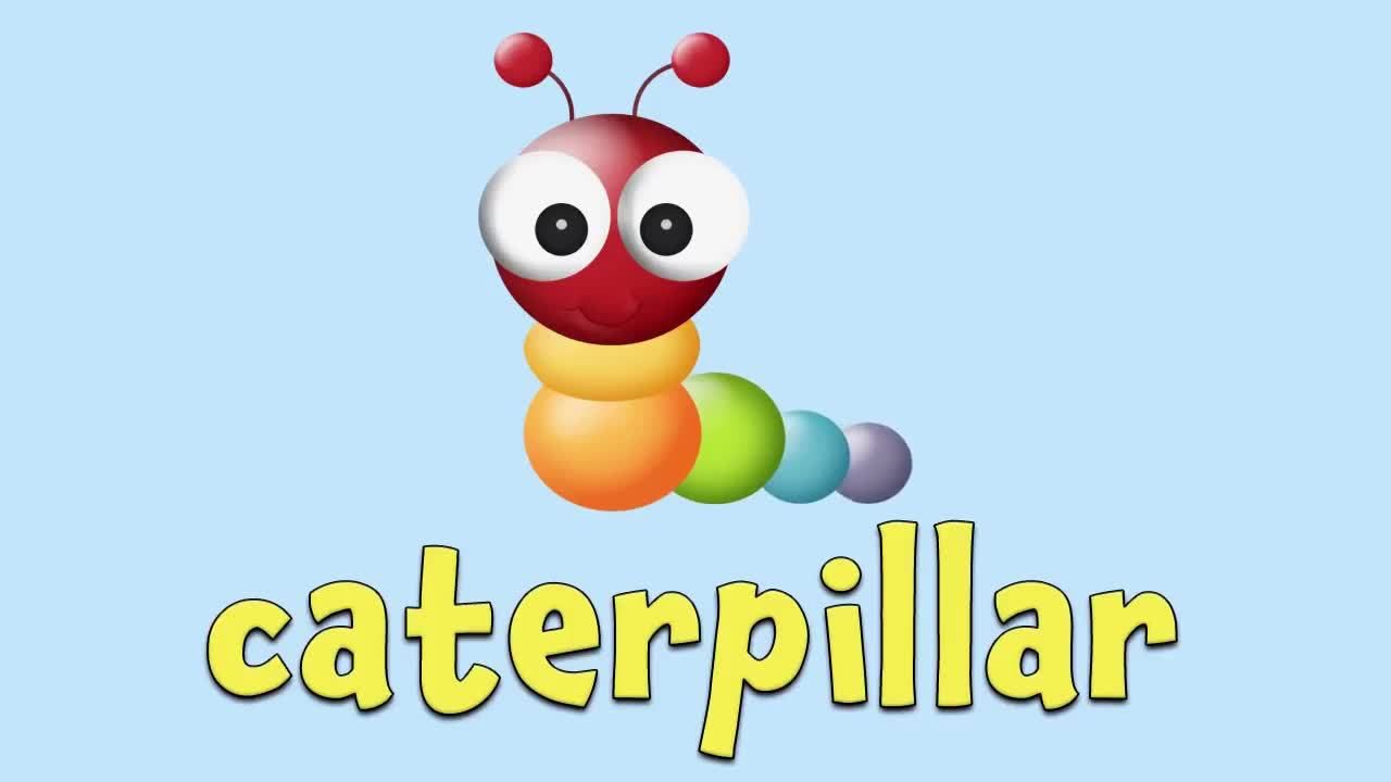 Bugs! Learning Bugs for Kids - Kidzovo