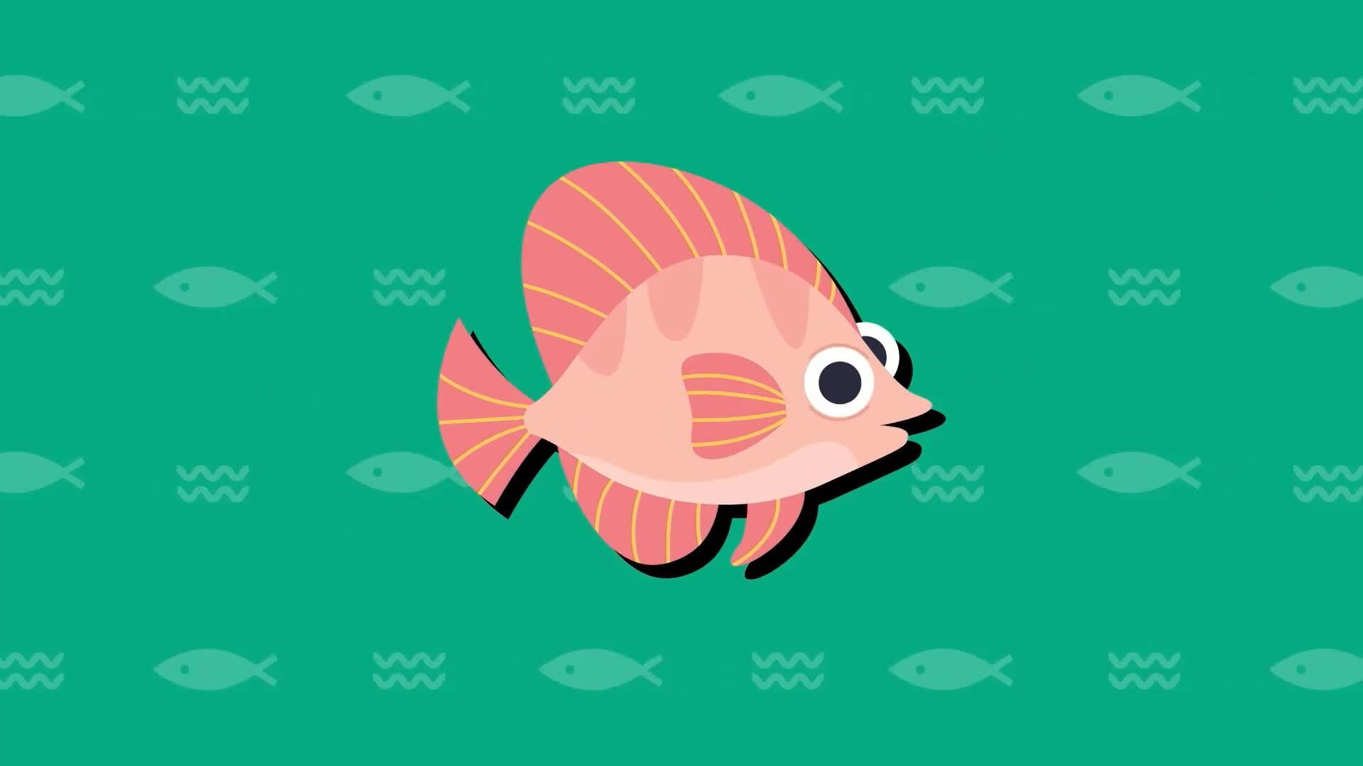 I WONDER - Do Fish Have Eyelids? - Kidzovo