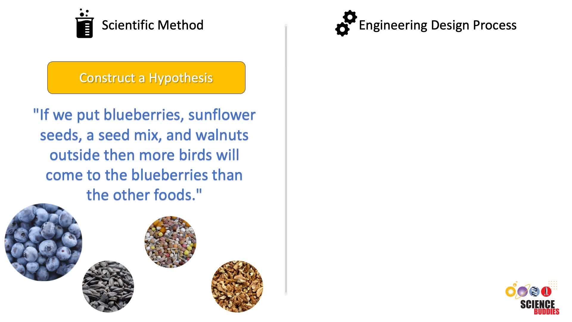 Which should you choose? Scientific Method versus Engineering Design ...