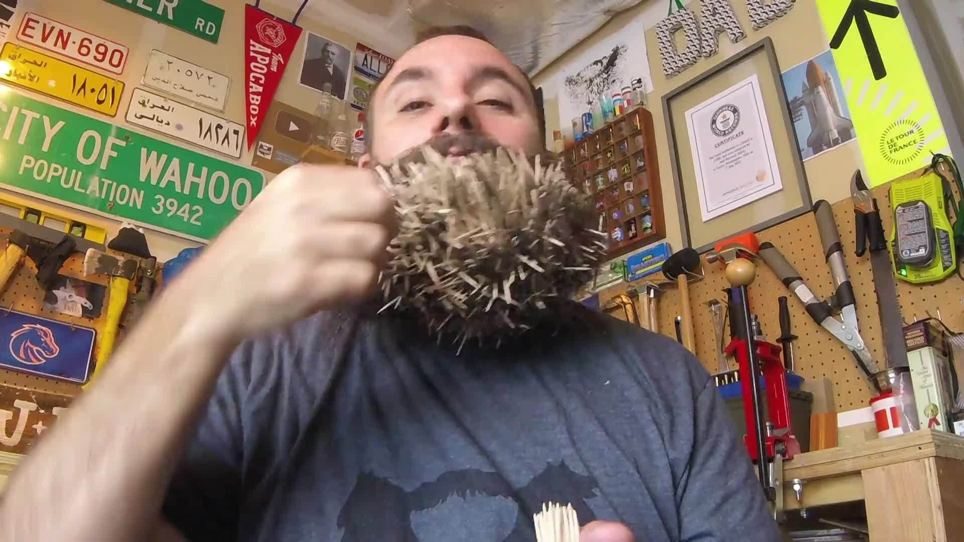 Most Toothpicks in a Beard: A Story of Patience and Brotherhood - Kidzovo
