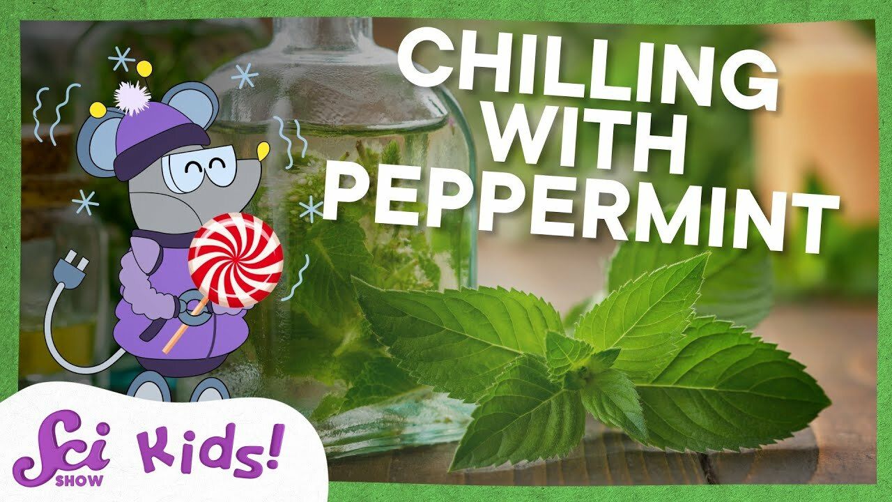 Why Does Peppermint Taste So Cold? | SciShow Kids - Kidzovo