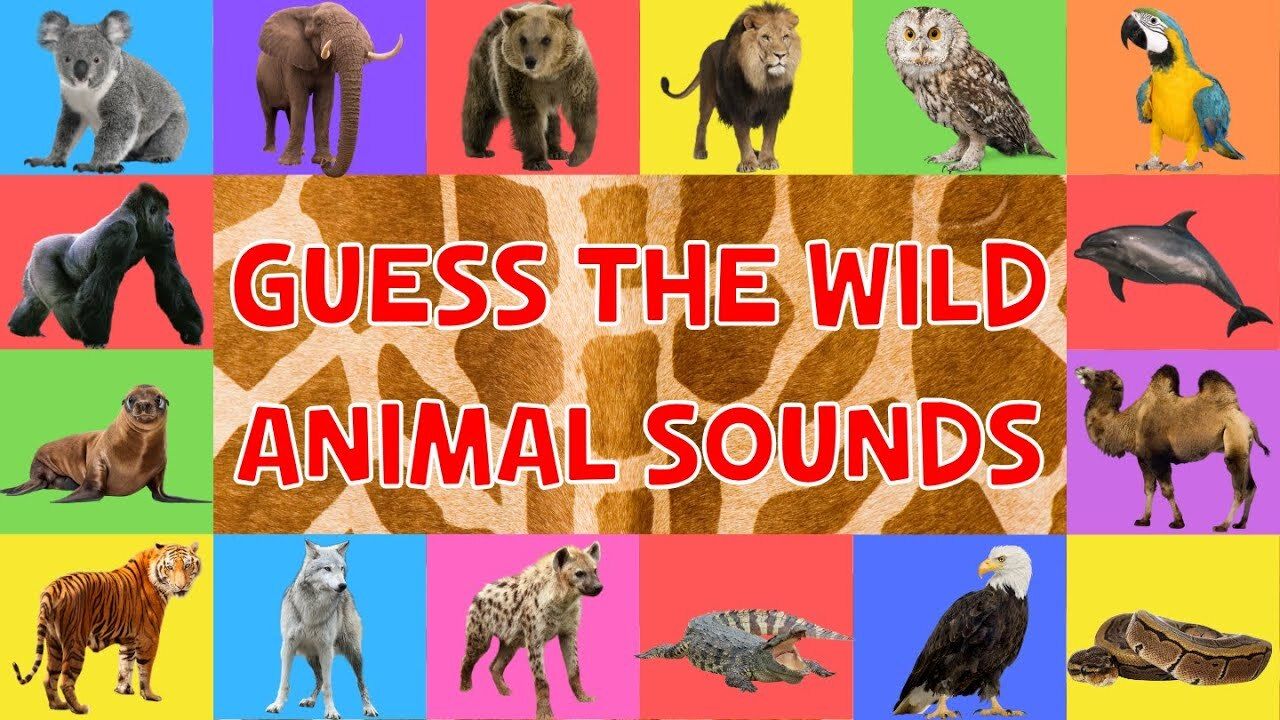 Guess The Wild Animal Sounds For Kids - Kidzovo